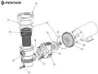 Replacement Pool Pump Parts | Hayward, Pentair & More | Kayak Katalogue